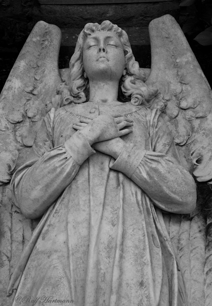 Sleeping Angel Foto & Bild | architektur, friedhöfe, engel und co ...