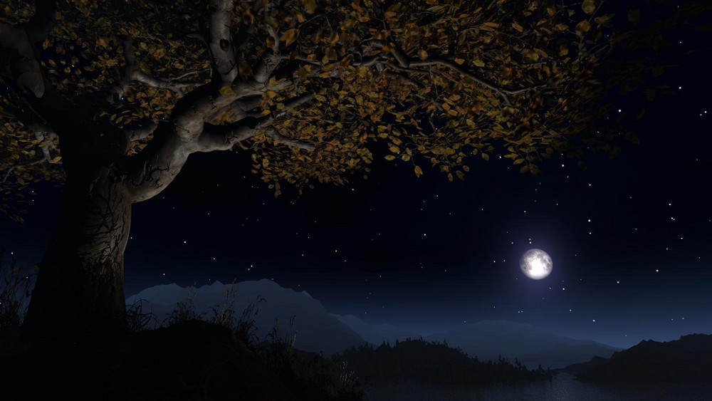 Sleepless Night Foto & Bild | rendering, landschaftsrendering, digiart ...