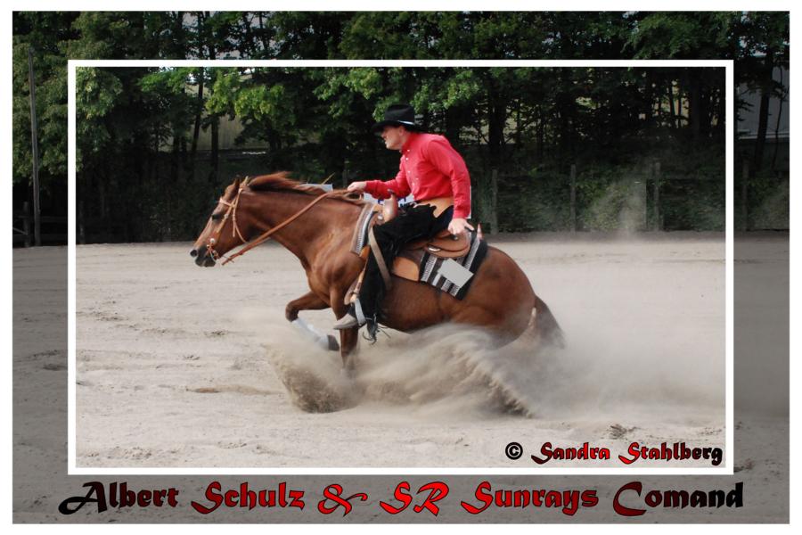 Sliding Stop Foto & Bild | sport, sport mit tieren, pferdesport Bilder ...