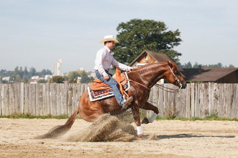 Sliding Stop Foto & Bild | sport, sport mit tieren, pferdesport Bilder ...