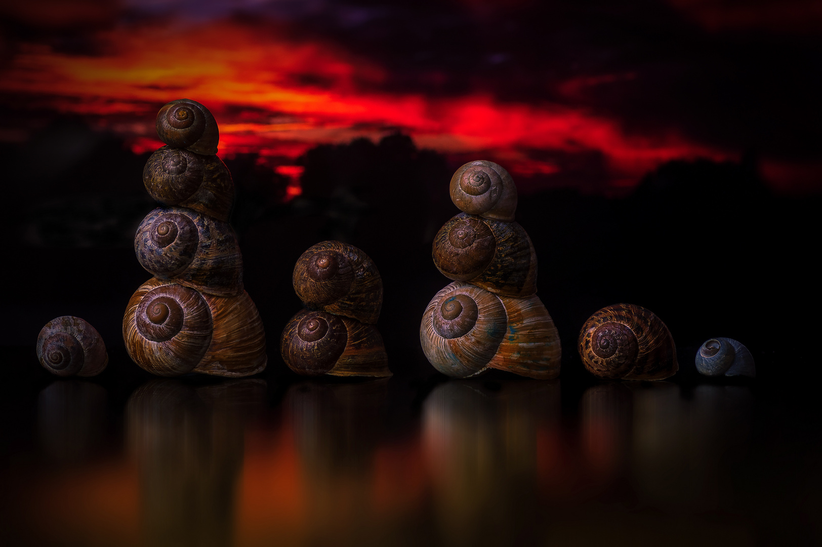Snail City skyline Foto & Bild | stillleben, portfolio, makro Bilder ...