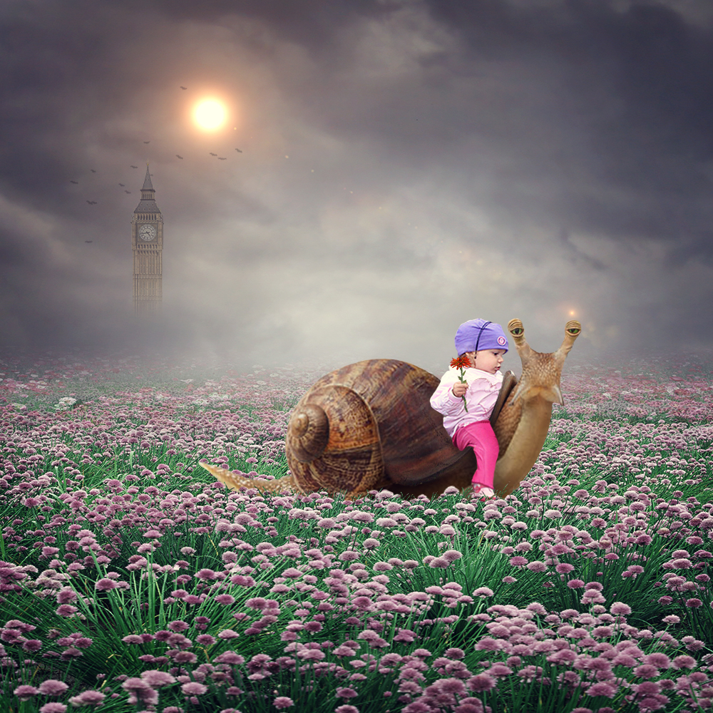 Snails - Horse Foto & Bild | fotomontage, fantasy mystery, composing Bilder auf fotocommunity