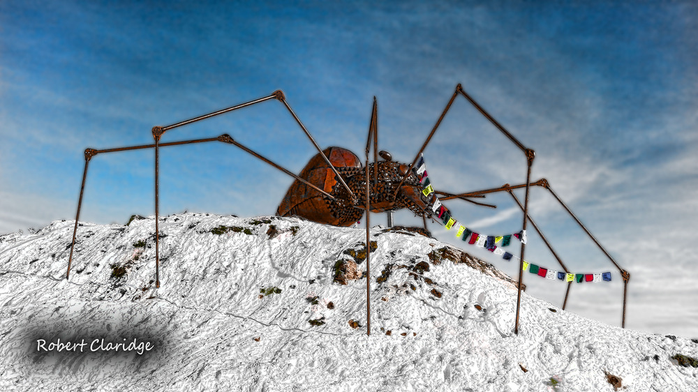 Snow Spider photo & image | europe, Österreich, tirol images at photo ...