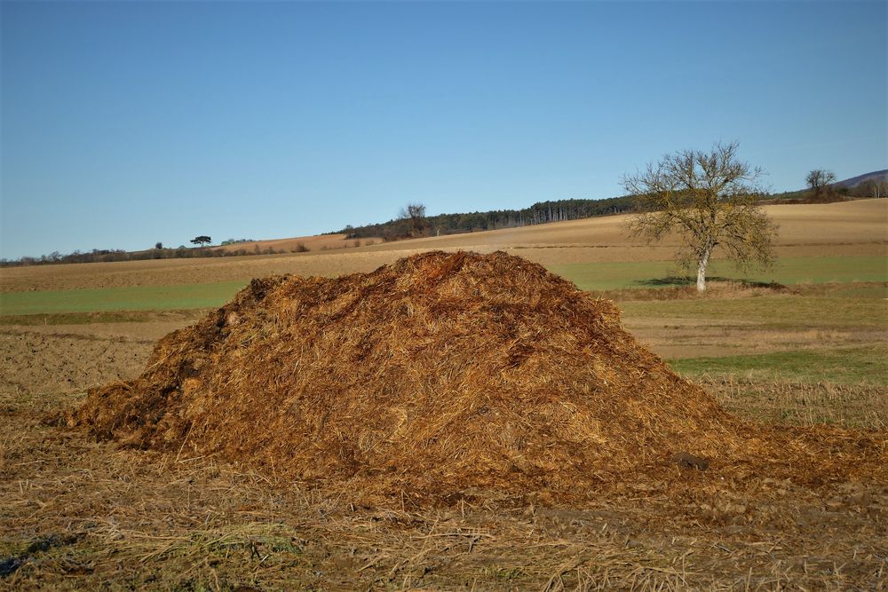 So ein Mist Foto & Bild | landschaften, bäume, winter Bilder auf ...