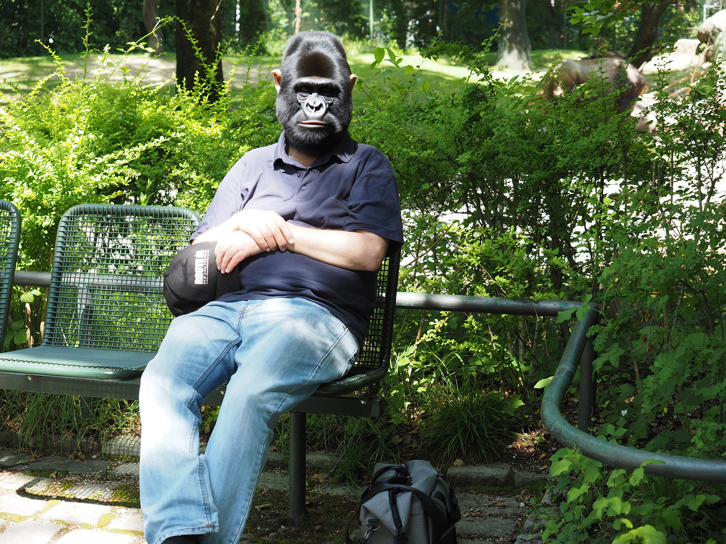 So eine Affenhitze Foto & Bild | ki - archiv, ki - montagen, natur Bilder auf fotocommunity