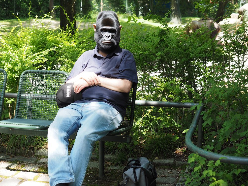 So eine Affenhitze Foto & Bild | ki - archiv, ki - montagen, natur Bilder auf fotocommunity