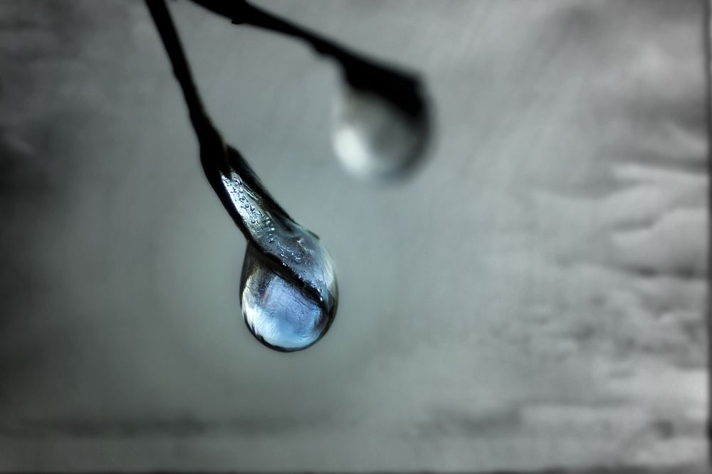 So einfach Foto & Bild | nah- & makro, techniken, aufnahme-techniken Bilder auf fotocommunity