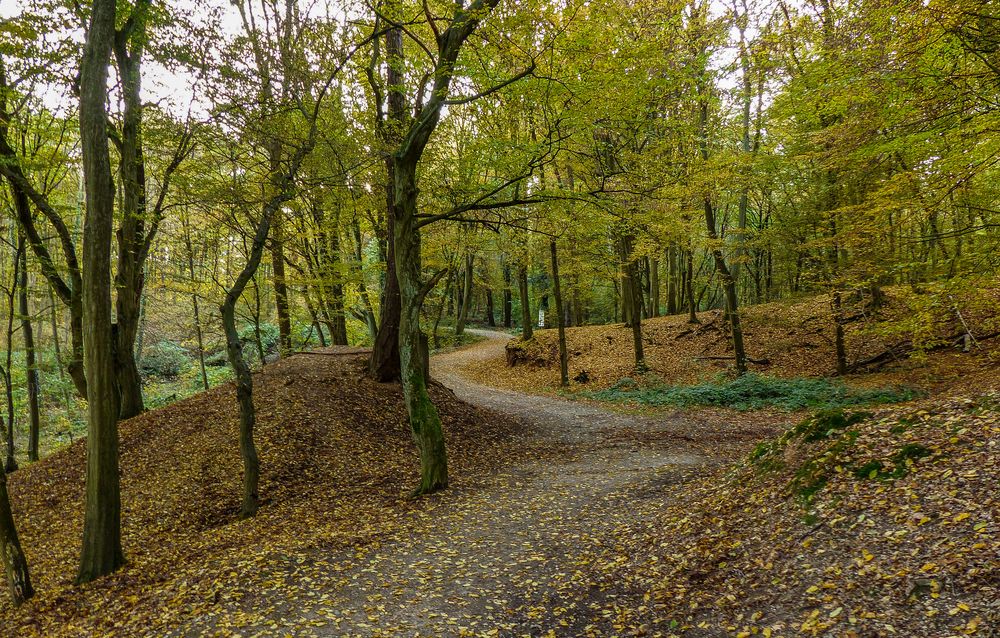 So im Querformat... Foto & Bild | landschaft, wald, diez/lahn Bilder ...