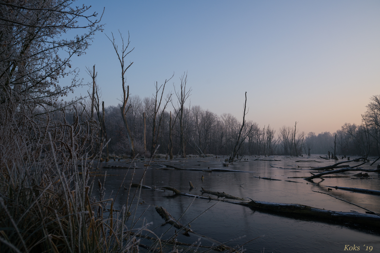 So KALT Foto & Bild | landschaft, bach, fluss & see, wald Bilder auf ...