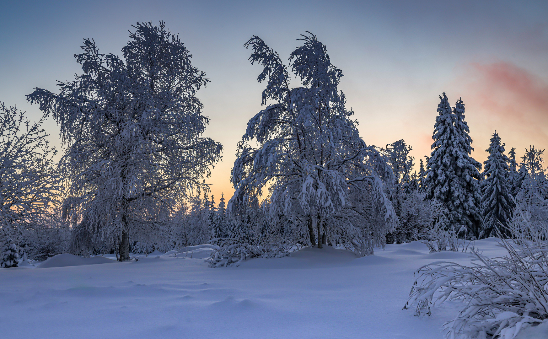 So kalt kann´s gar nicht sein Foto & Bild | deutschland, europe, baden- württemberg Bilder auf ...