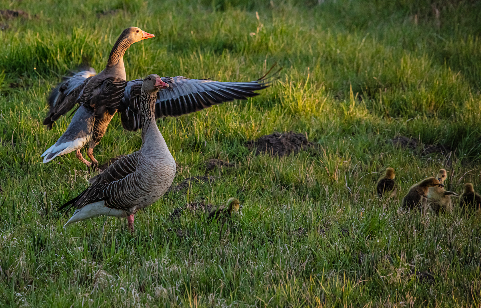 so Kinder jetzt bitte nachmachen Foto & Bild | dokumentation, outdoor ...