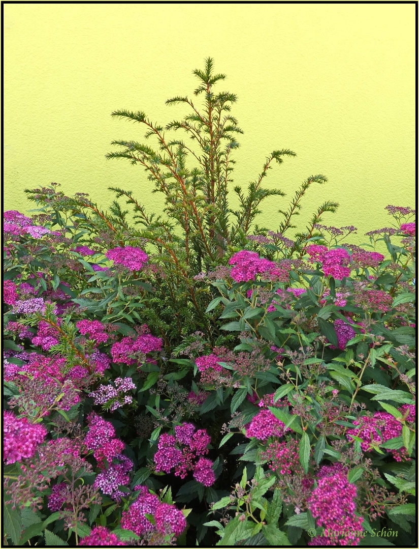 So lange es noch Mittwoch ist... Foto & Bild | spezial, dokumentation ...