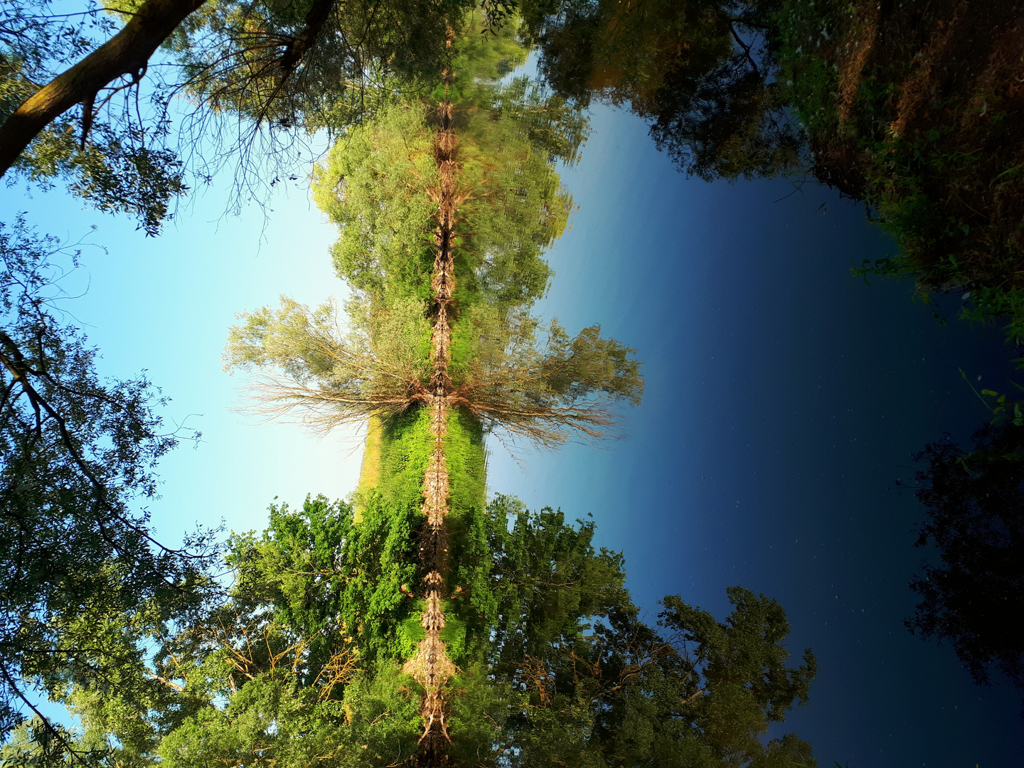 So, nun habe ich auch etwas für den Thementag Sonntags abstrakt Foto & Bild | projekte, 7 ...