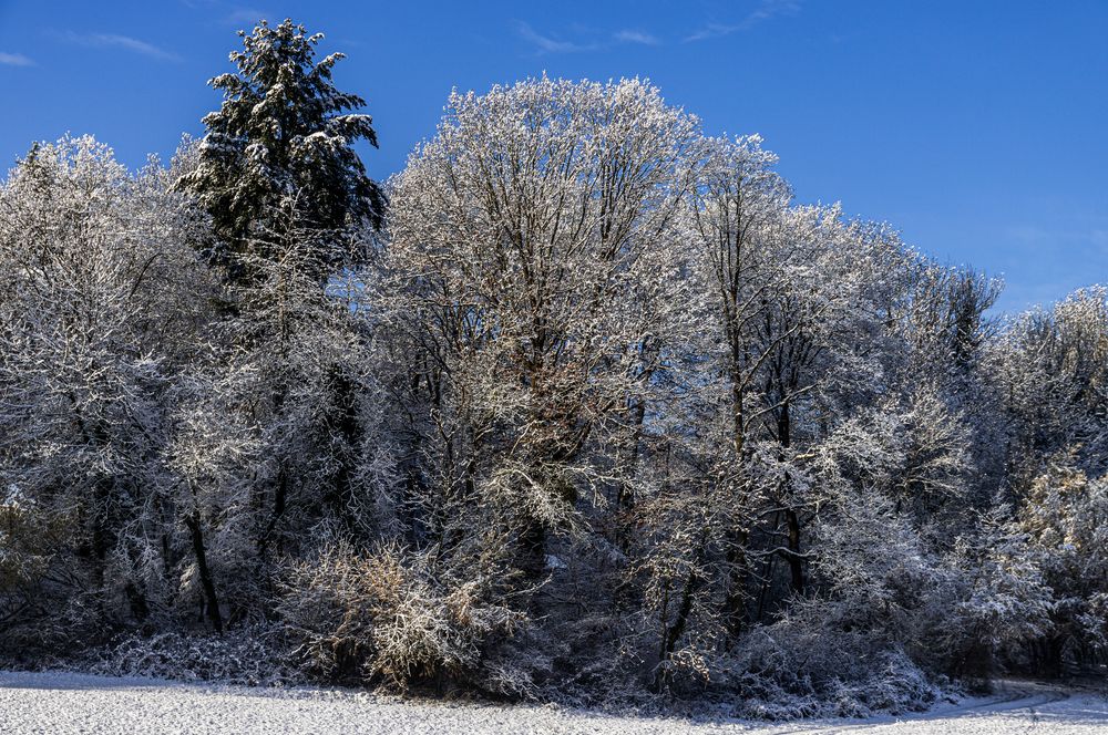 So schön Foto & Bild | landschaft, jahreszeiten, winter Bilder auf fotocommunity