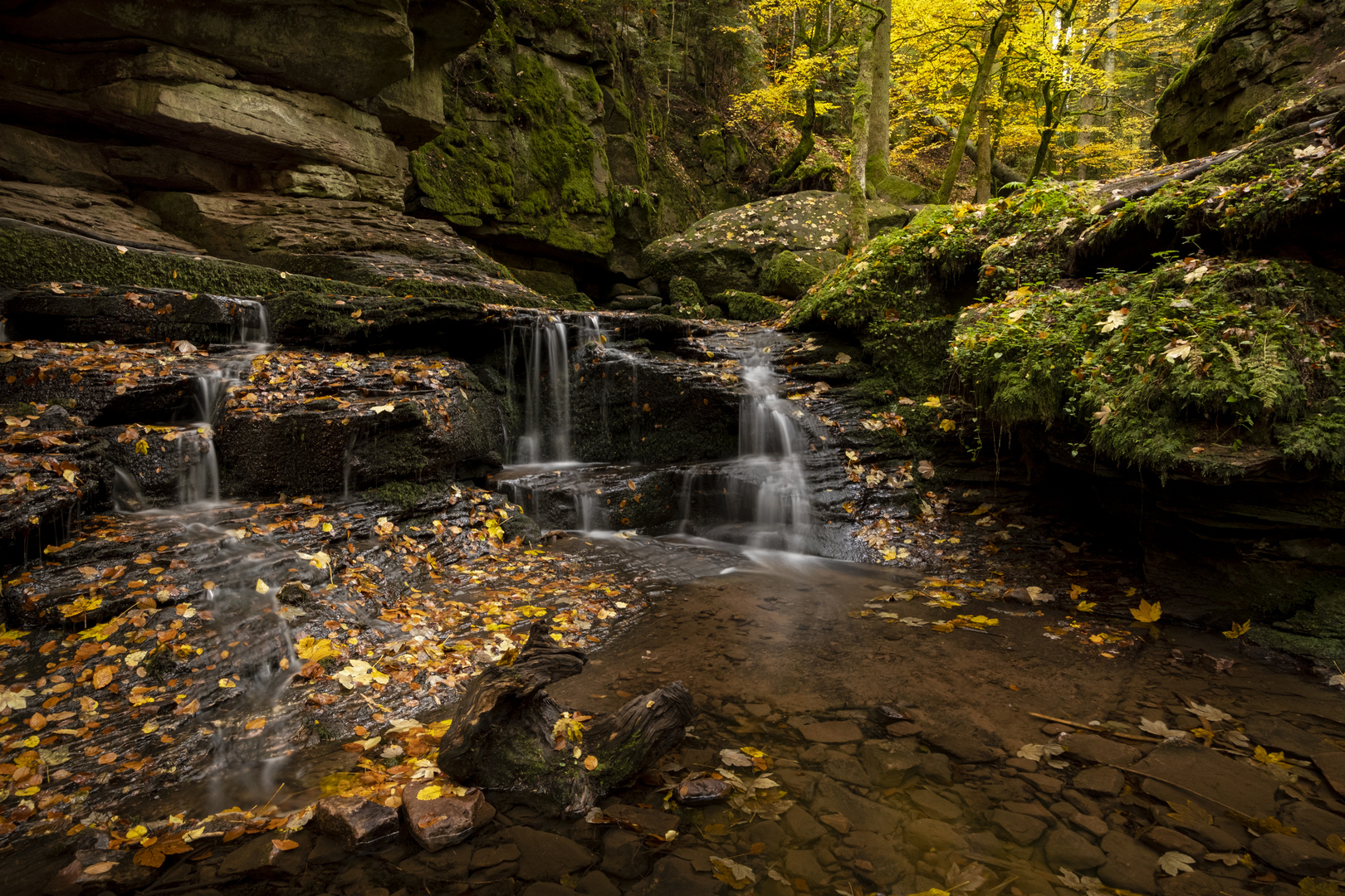 So schön ist das Monbachtal Foto & Bild | deutschland, europe, baden ...