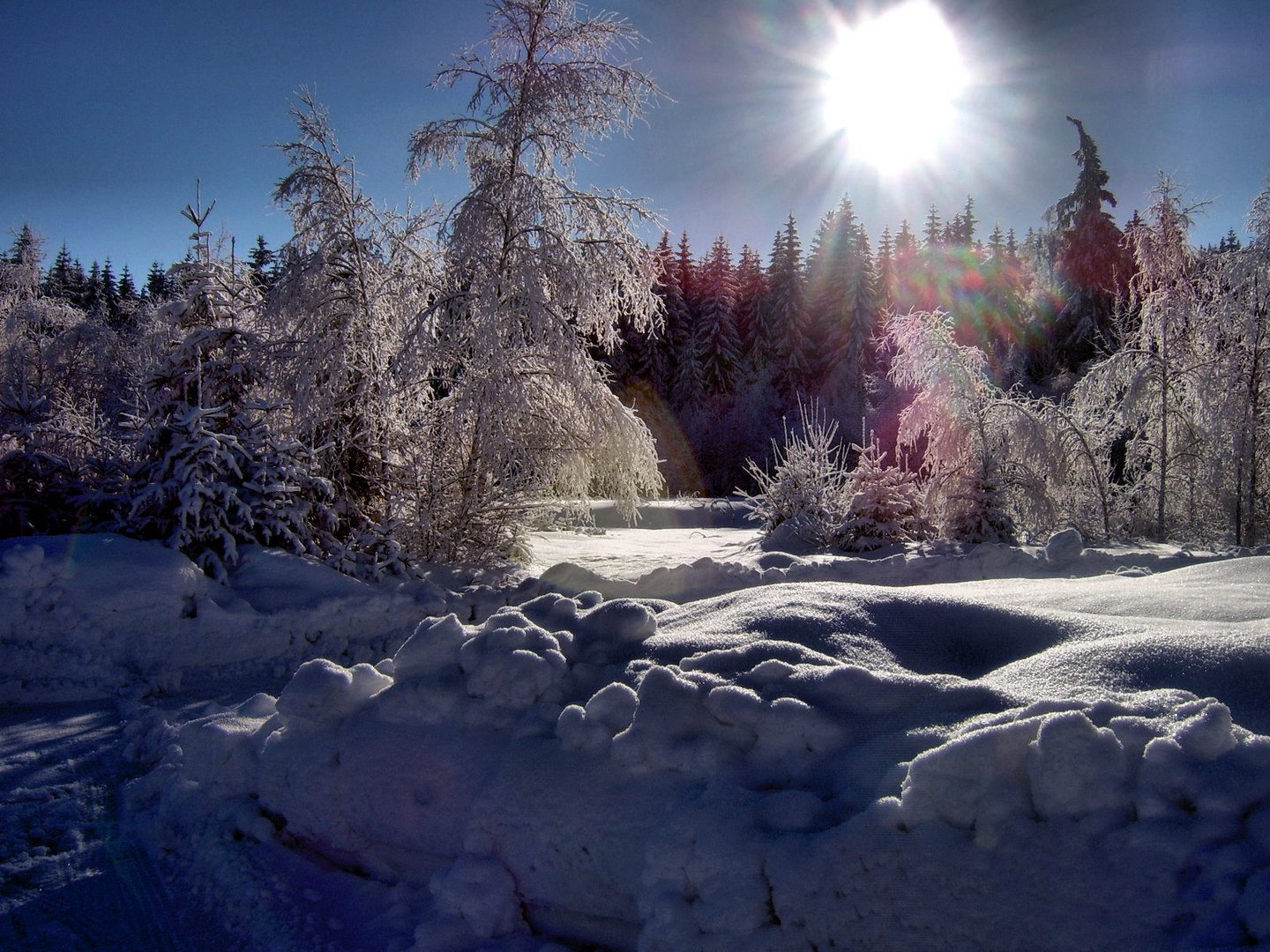 So schön kann Winter sein auch bei - 18 Grad. Am 24.01.2006 Foto & Bild | jahreszeiten, winter ...