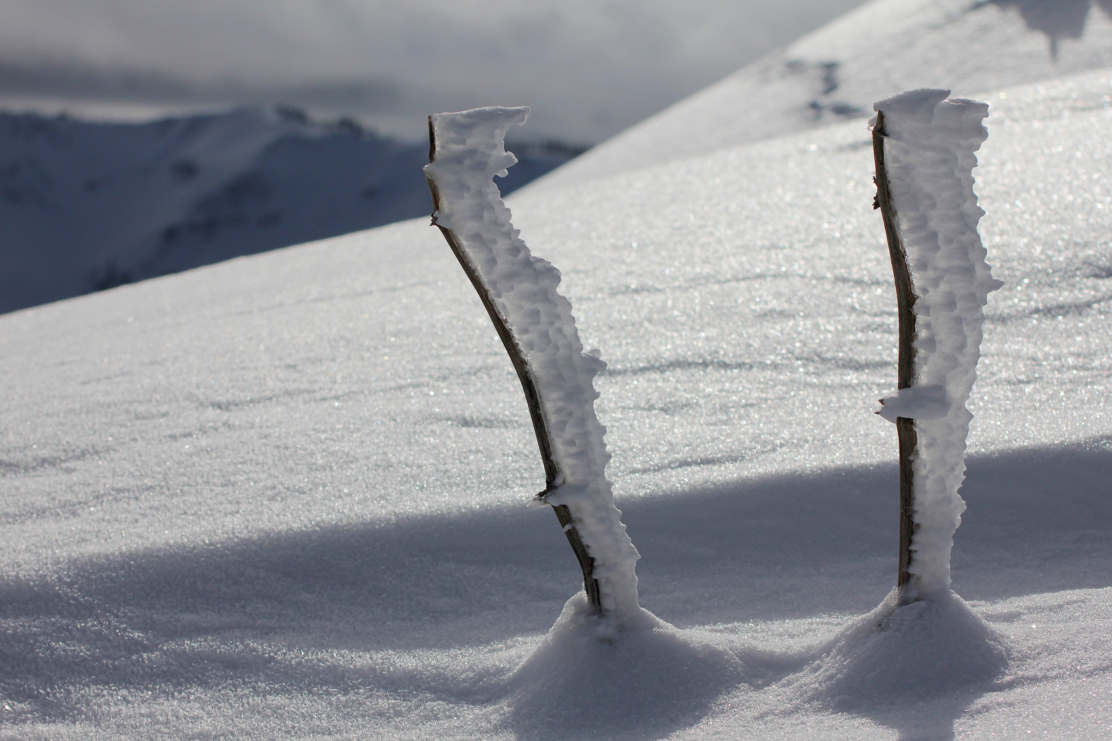 So sieht Winter aus Foto & Bild | jahreszeiten, winter, reise, brd ...