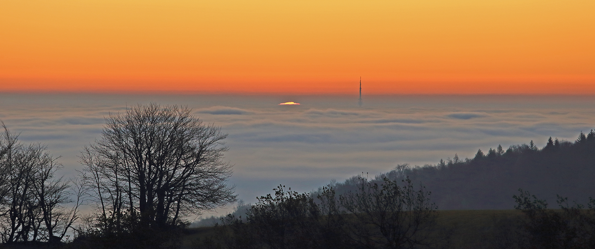 So wie wenn die Maus den Kopf aus dem Loch steckt... Foto & Bild ...