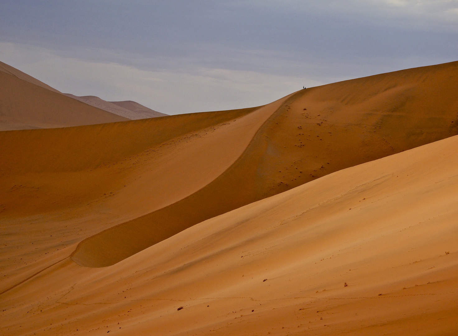 so winzig Foto & Bild | natur, landscape, landschaft Bilder auf ...