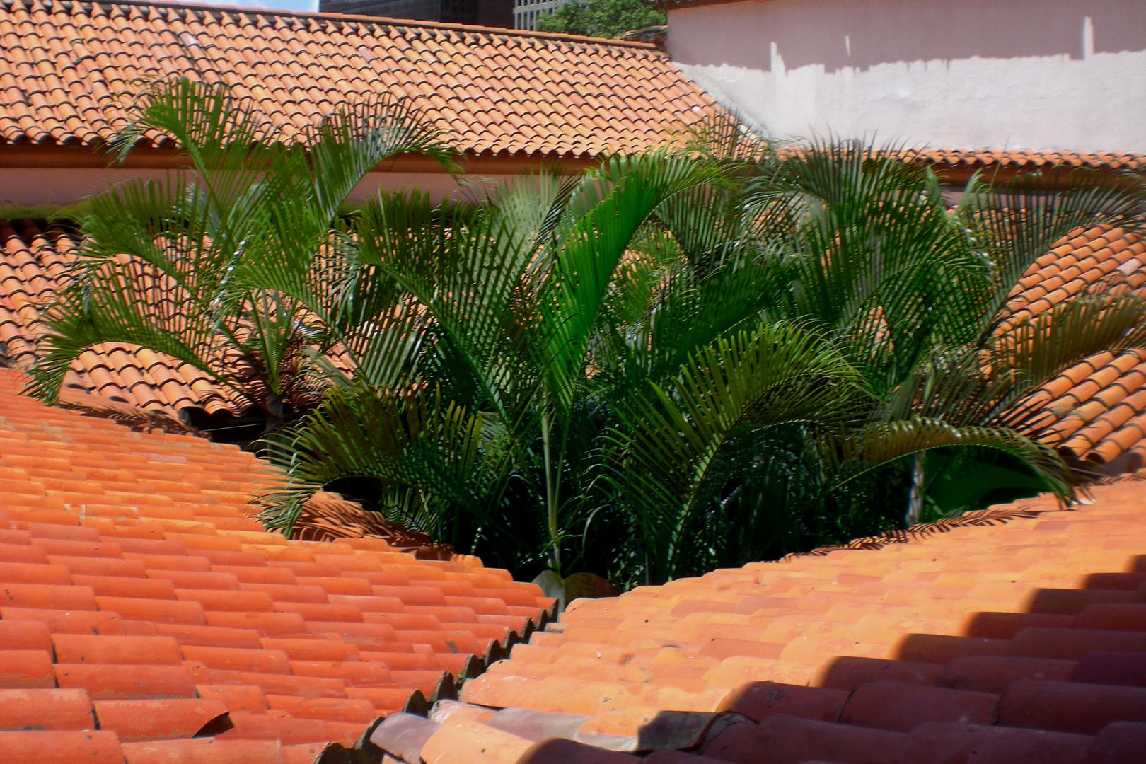 Sobre el tejado Imagen & Foto | arquitectura, edificios, motivos Fotos ...