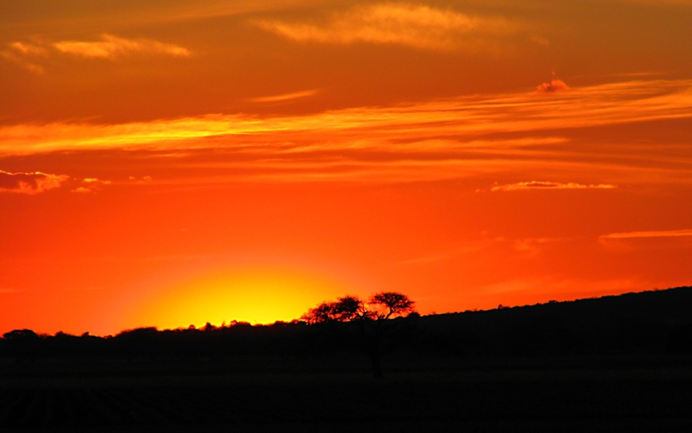 Sol de Tarde Imagen & Foto | paisajes, atardeceres y amaneceres ...