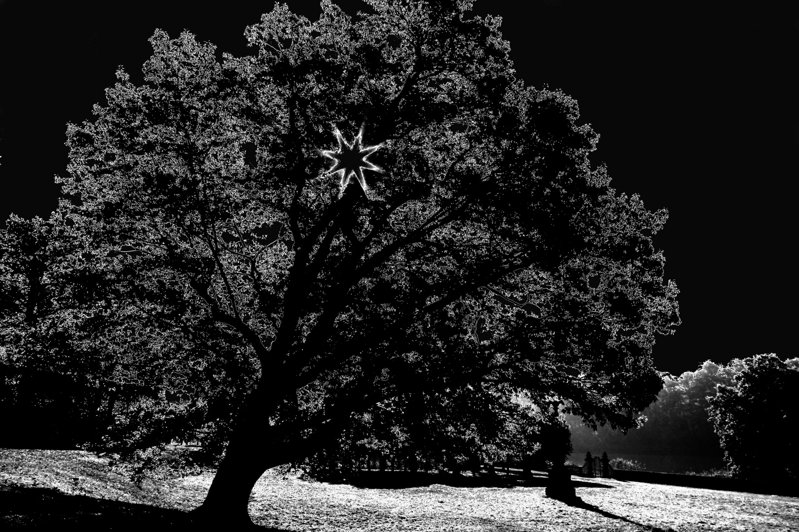 Solarisation Foto & Bild | digiart, filter, techniken Bilder auf ...