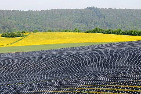 Rainer Beyer - Fotos & Bilder - Fotograf aus Hetzerath | fotocommunity