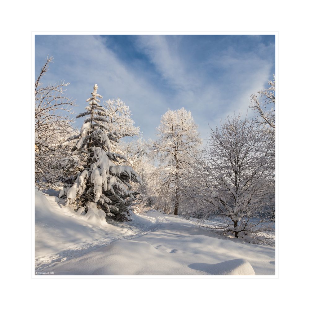 Solche Winterimpressionen... Foto & Bild | deutschland, europe, baden ...