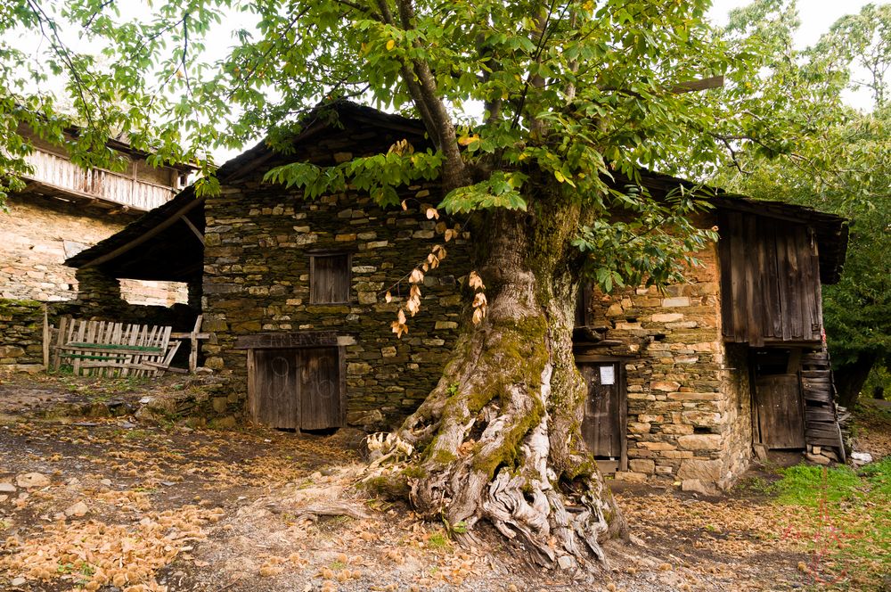 Soldón da Seara-O Courel - Lugo Imagen & Foto | europe, spain, galizien ...