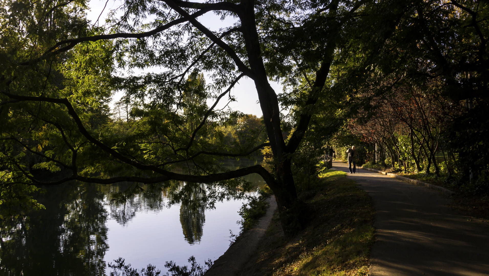 Soleil rasant photo et image | france, world, automne Images fotocommunity