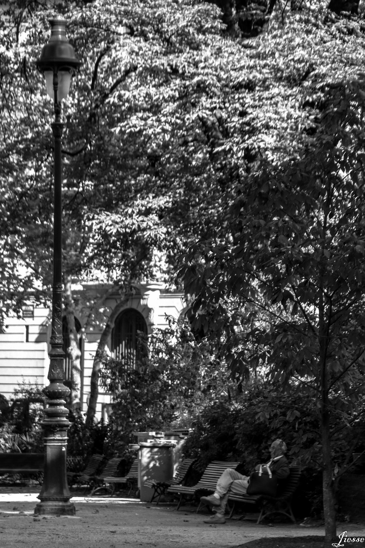 solitaire photo et image | portraits, portraits au masculin, personnes ...