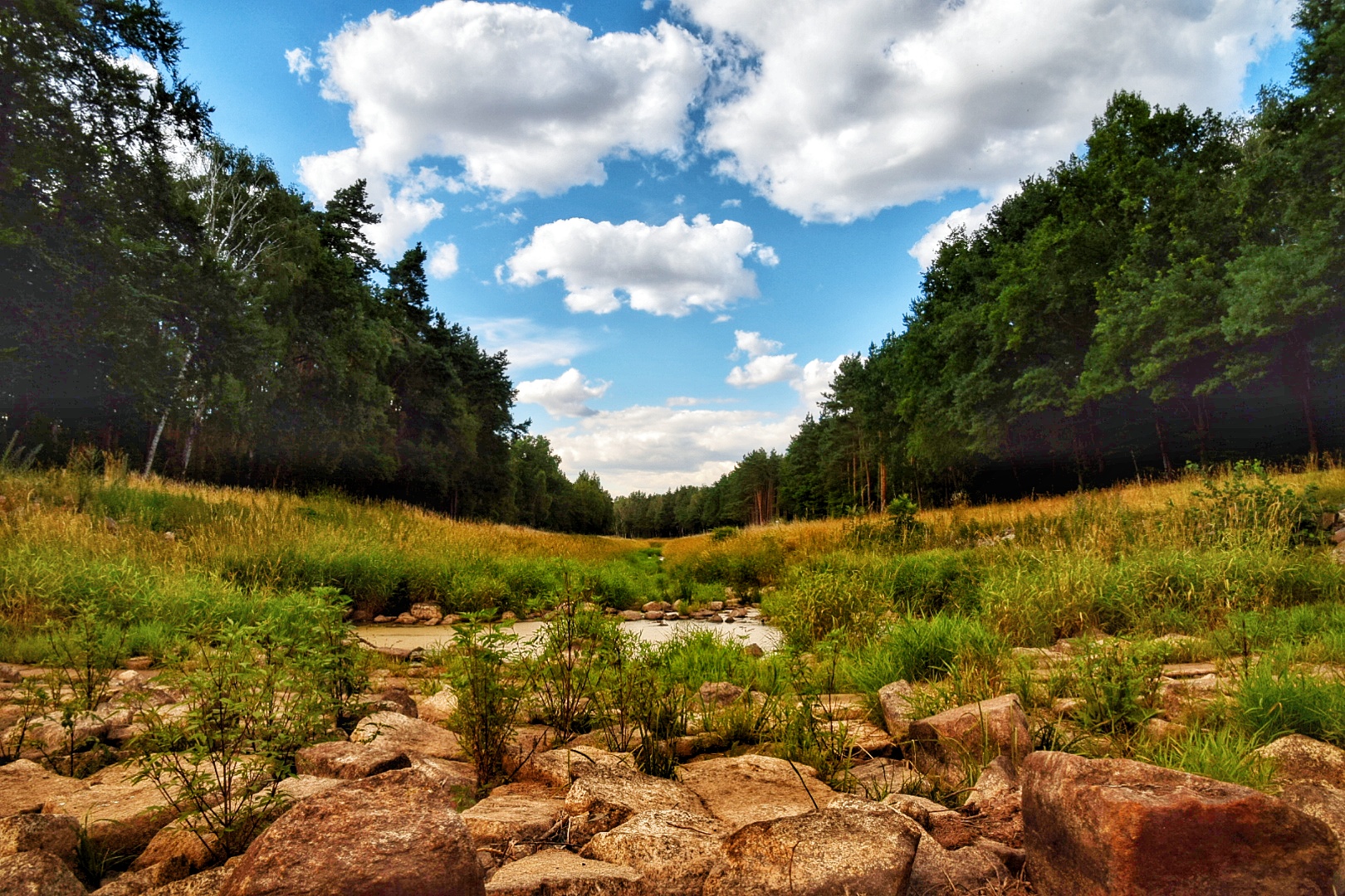 Sommer 2022 Foto & Bild | naturereignisse, die elemente, natur Bilder ... Sommer 2022 Foto & Bild | naturereignisse, die elemente, natur Bilder ...