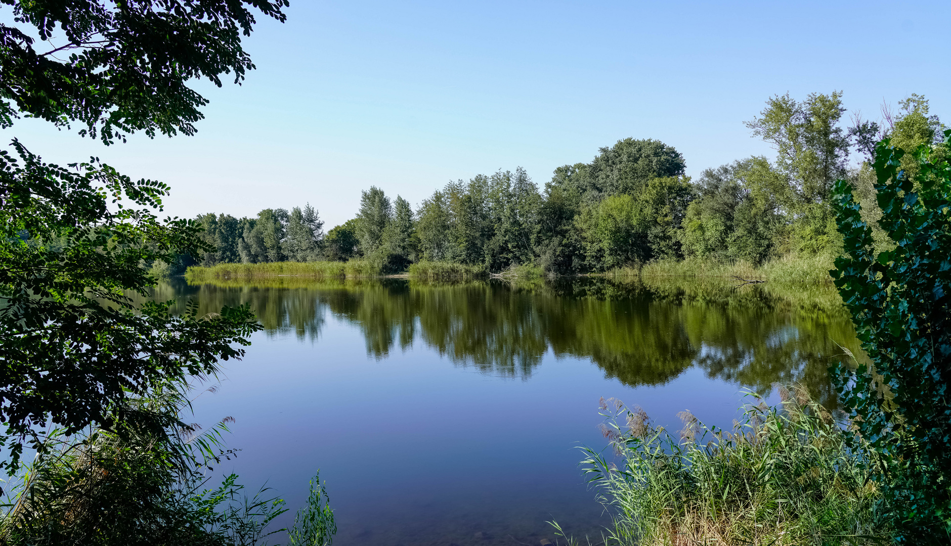 Sommer am See Foto & Bild | landschaft, bach, fluss & see, see, teich & tümpel Bilder auf ...