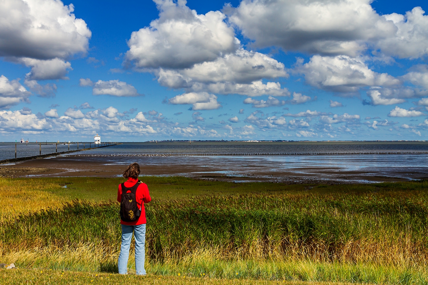 Sommer am Watt Foto & Bild | urlaub, fotos, world Bilder auf fotocommunity