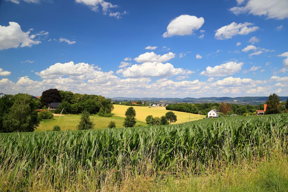 Sommer auf dem Land Foto & Bild | world, spezial, sommer Bilder auf ...