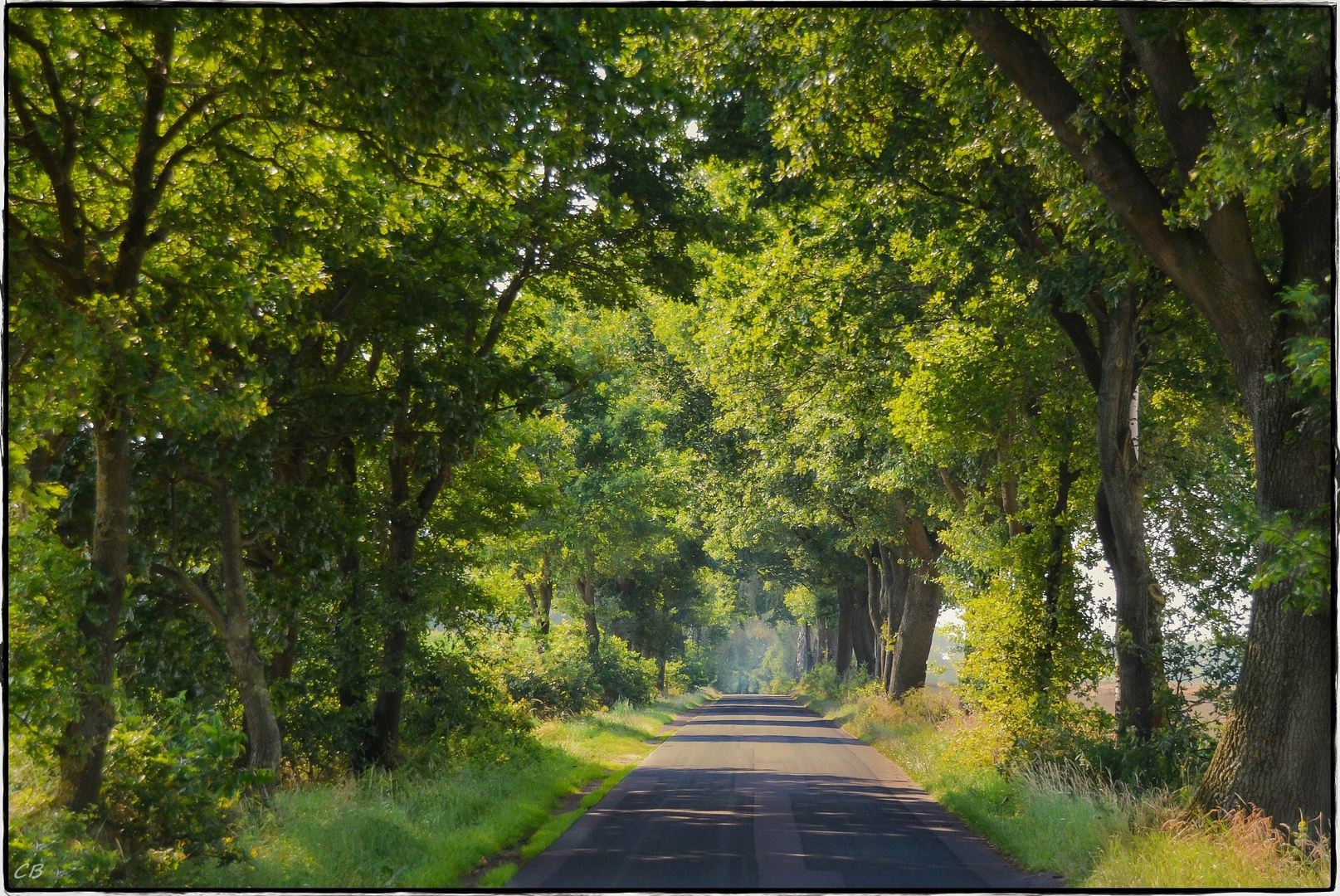 Sommer auf dem Lande Foto & Bild | deutschland, europe, niedersachsen ...