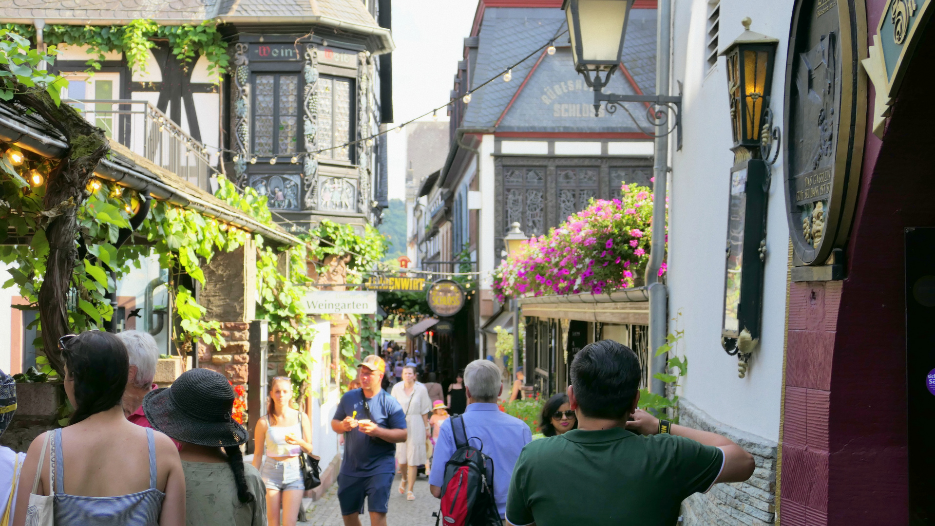Sommer in Rüdesheim II / 4 Foto & Bild | architektur, reportage dokumentation, streetfotografie ...