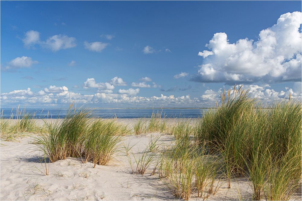 Sommer-Wind Foto & Bild | sylt, meer, strand Bilder auf fotocommunity