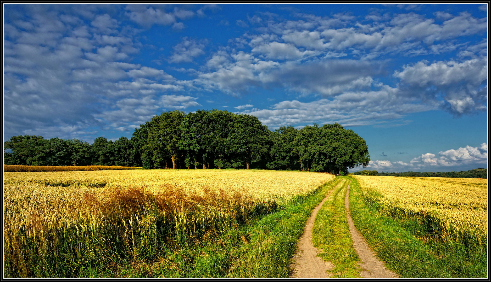 FELDER - Ecosia - Images FELDER - Ecosia - Images
