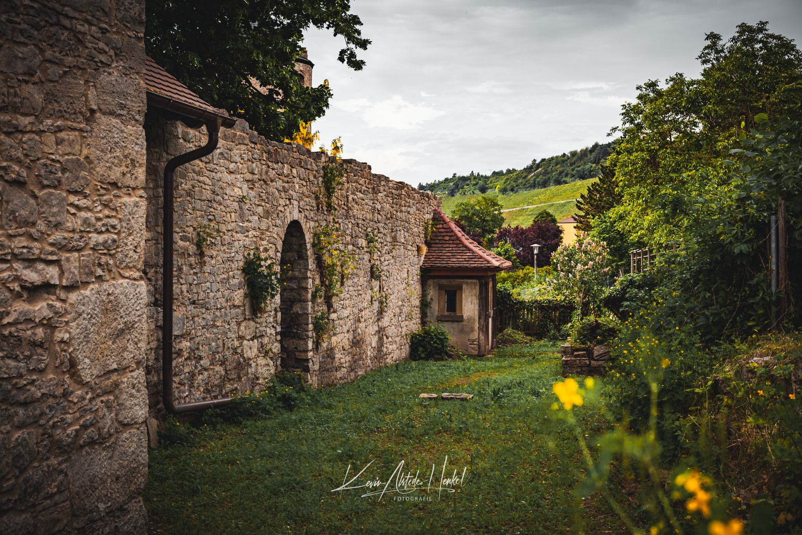 Sommerhausen Foto & Bild | natur, landschaft, pflanzen Bilder auf ...
