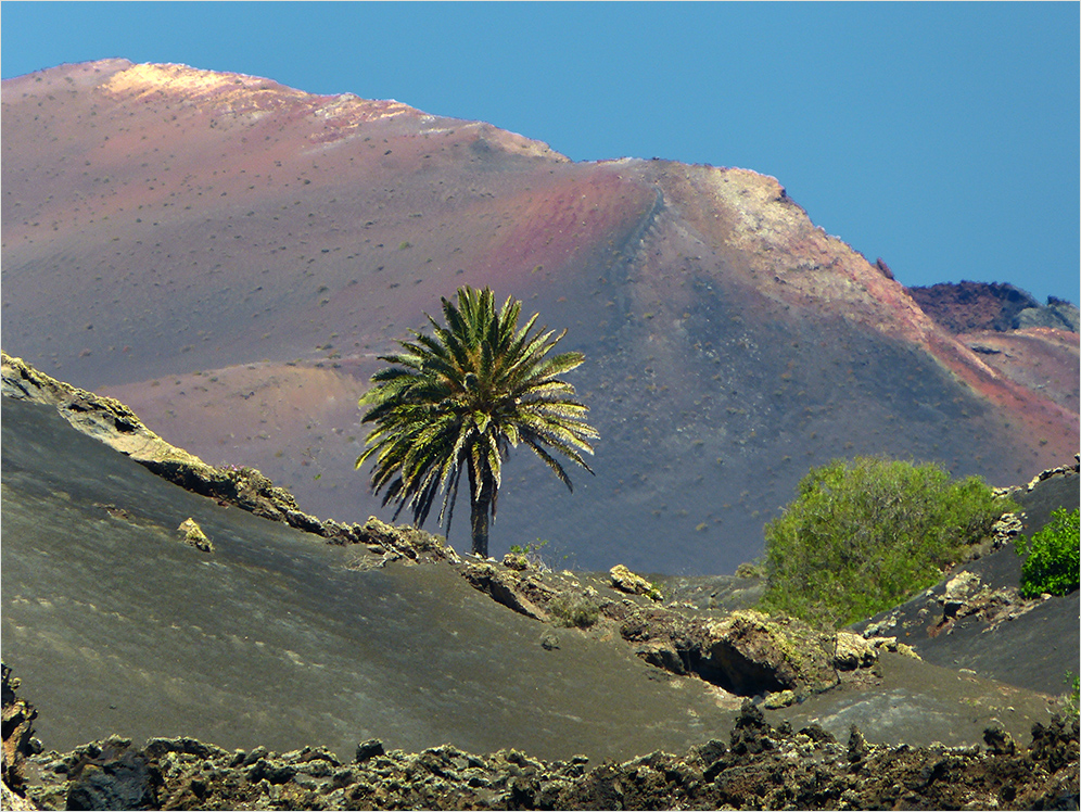 Sommerhitze Foto & Bild | europe, canary islands die kanaren, spain ...