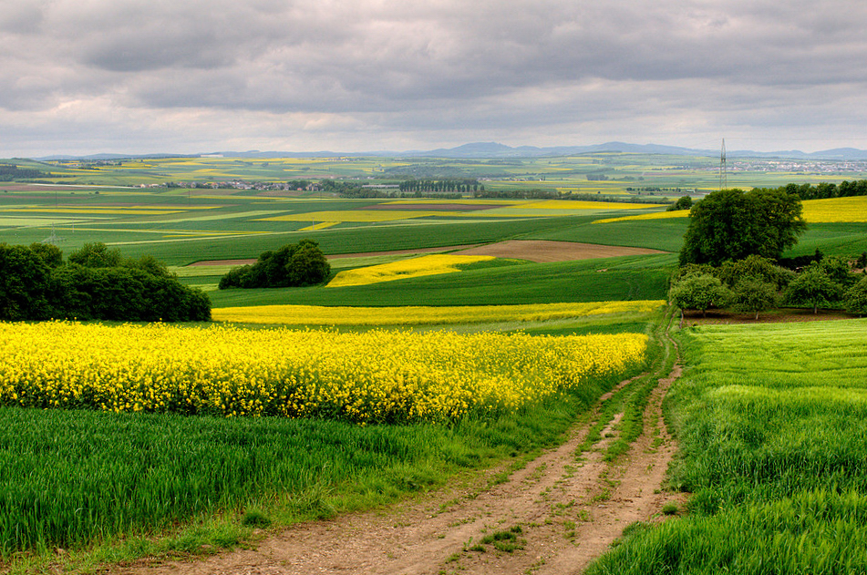 Sommerlandschaft 2009 Foto & Bild | landschaft, Äcker, felder & wiesen, natur Bilder auf ...