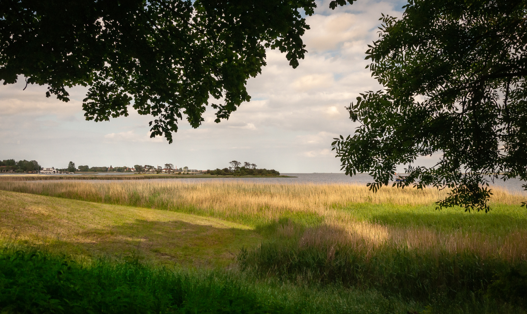 Sommerlicher Blick auf die Insel Riems Foto & Bild | natur, see ...