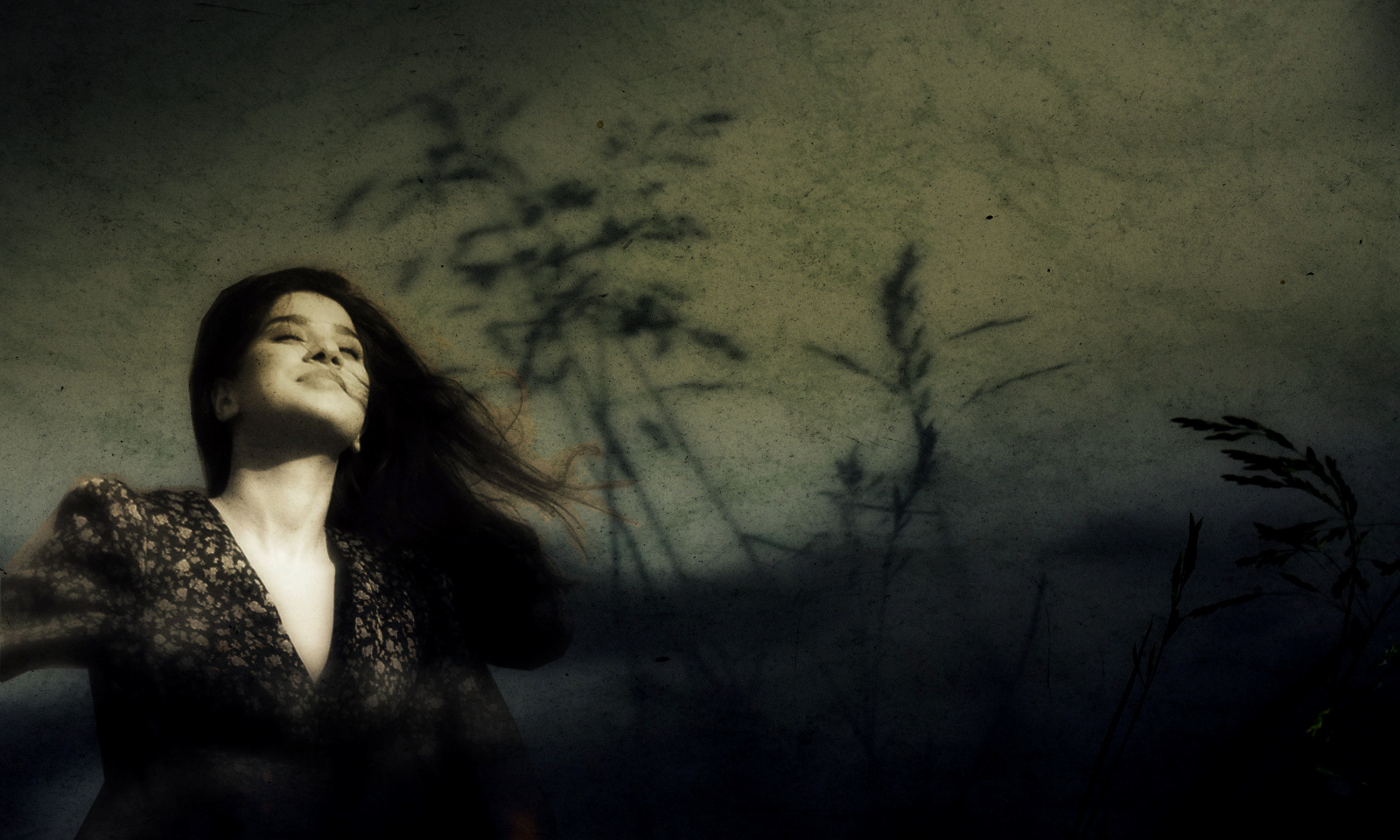 Sommertraum Foto & Bild | spezial, sommer, wiese Bilder auf fotocommunity