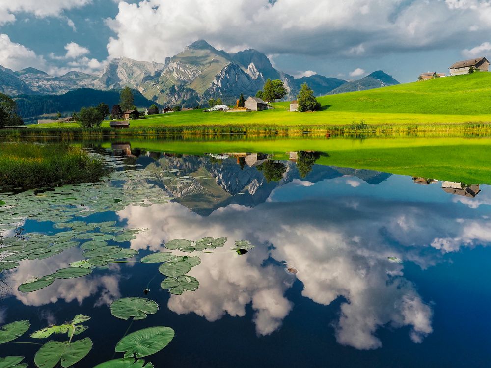 "Sommertraum" Foto & Bild | landschaft, jahreszeiten, sommer Bilder auf ...