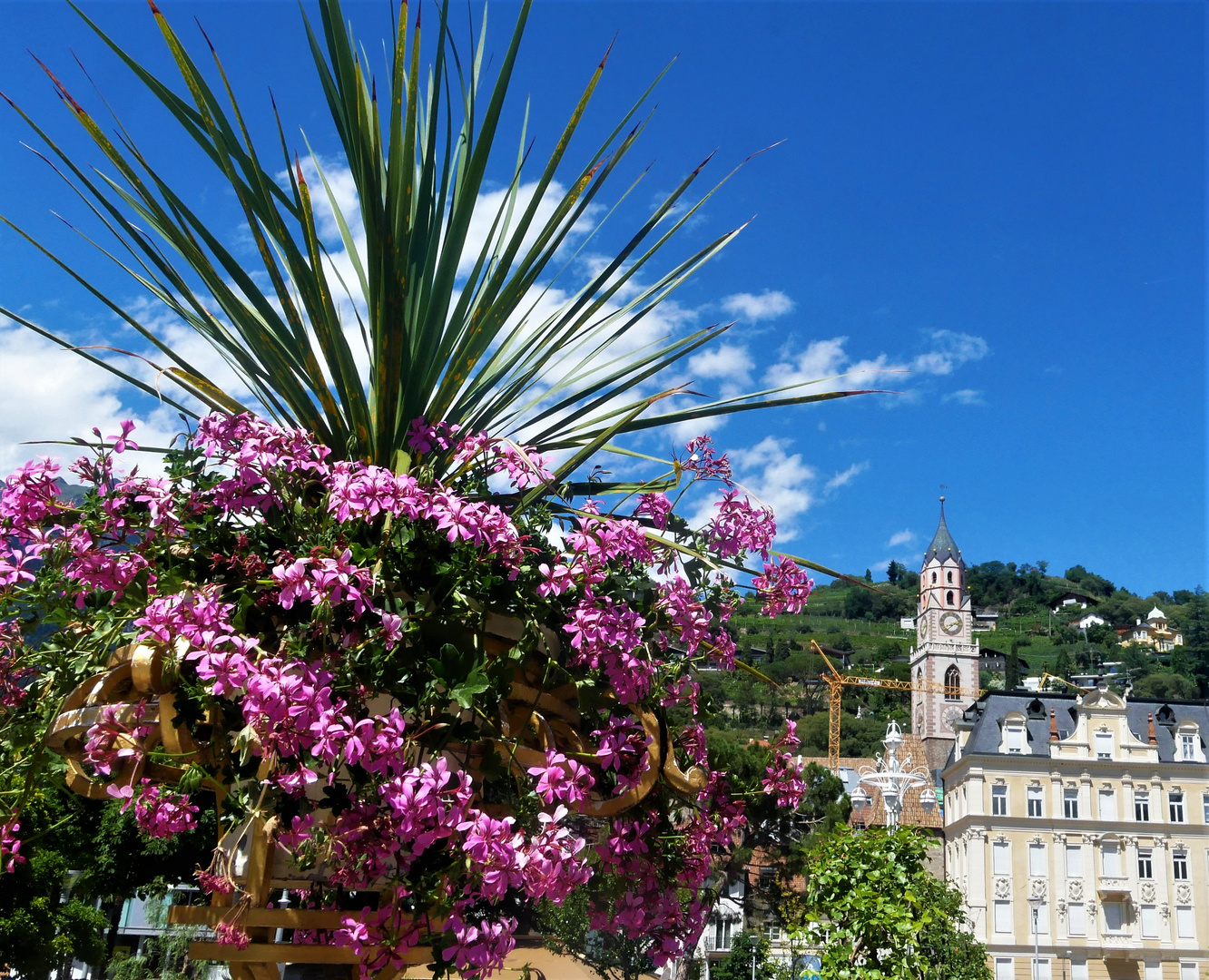 Sommerurlaub 2022 in Meran - Überragender Kirchturm St. Nikolaus Foto ...
