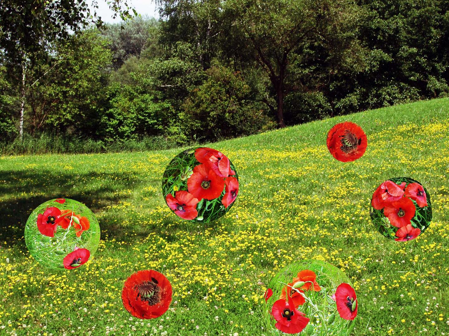 Sommerwiese Foto & Bild | fotomontage, landschaften, digiart Bilder auf fotocommunity