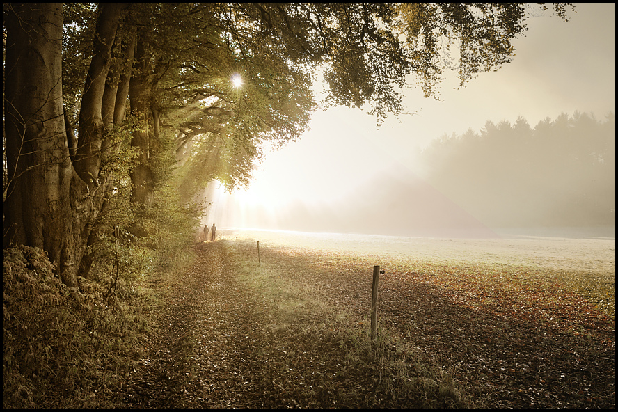 Sommerzeit adieu Foto & Bild | deutschland, europe, nordrhein ...