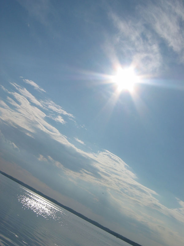 Sonn Foto & Bild | natur, youth Bilder auf fotocommunity