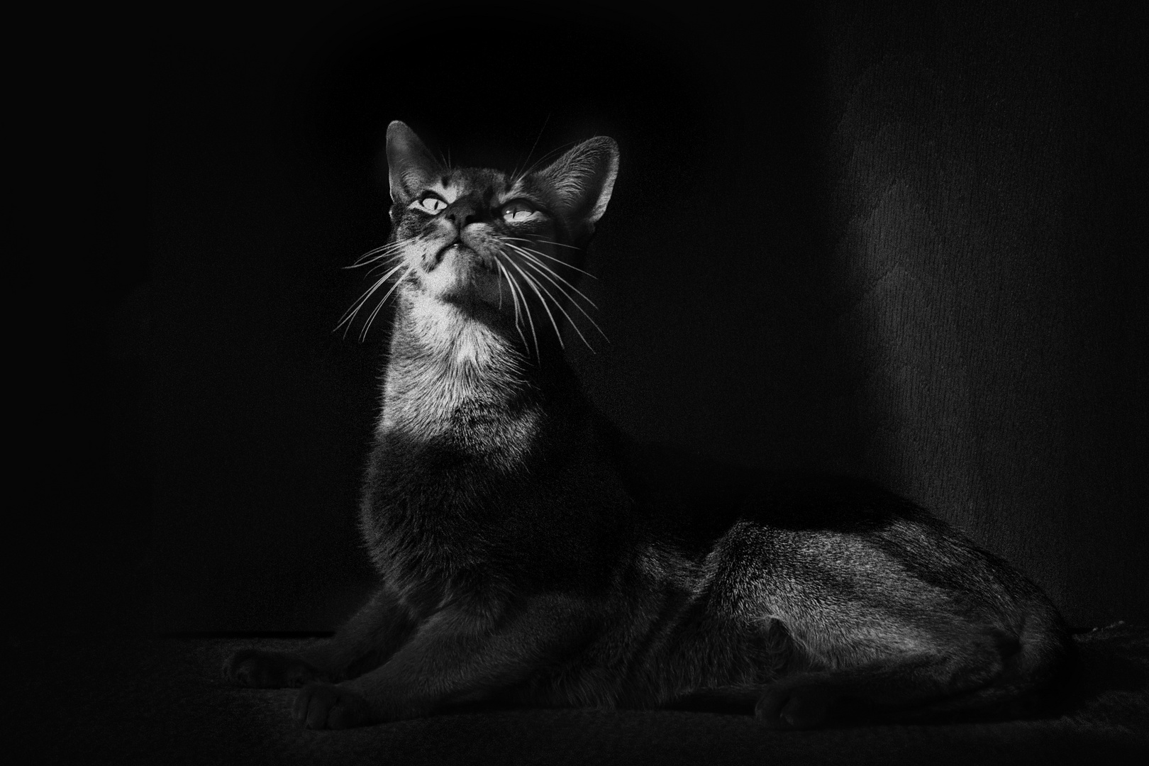 "Sonne atmen" Foto & Bild | spezial, sonne, natur Bilder auf fotocommunity